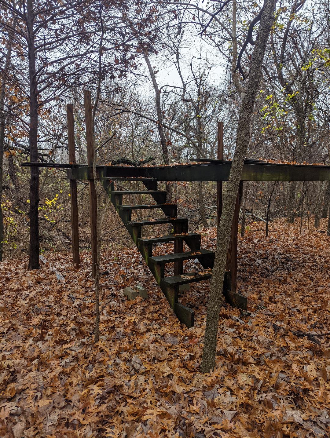 A Tale of Two Forts – The View from my Back Porch